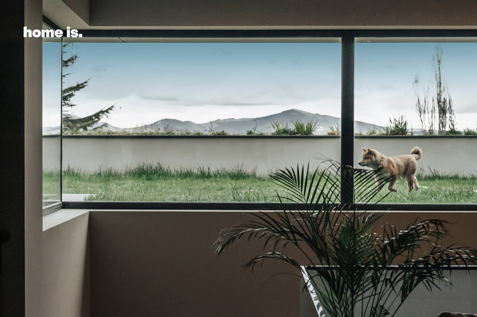 მრავალდონიანი სახლი წყნეთში საინტერესო დიზაინ გადაწყვეტებით — „Spott ...