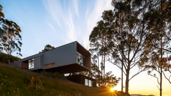 ქართული ხალიჩის ისტორია - Home is.